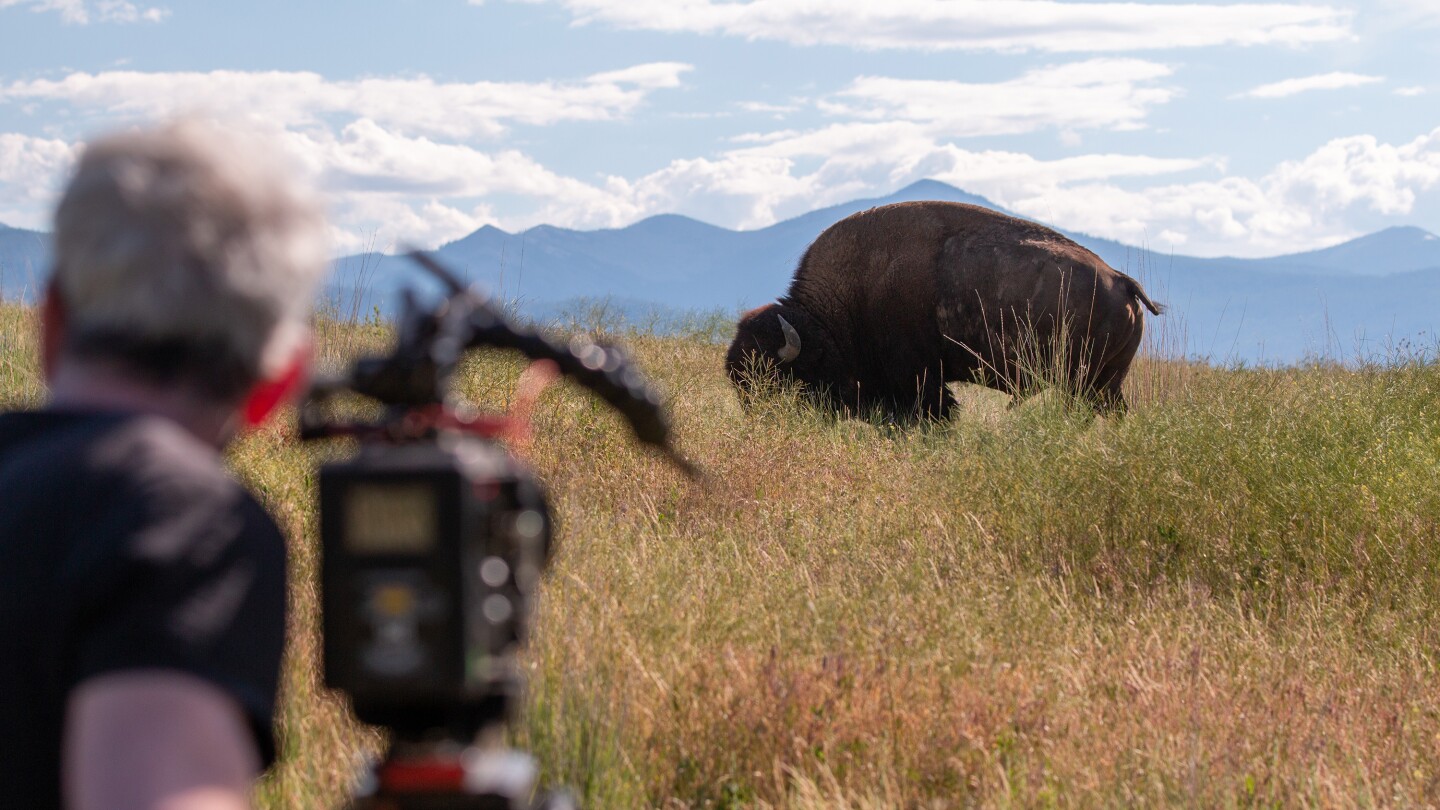 Stream The American Buffalo Seasons & Full Episodes | PBS SoCal