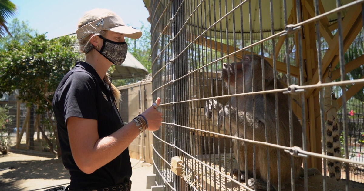 Watch Community Colleges – Teaching Zoo | Inside California Education ...
