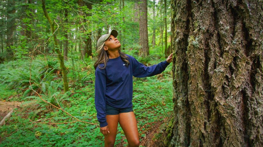 Watch Preview: First Look at Weathered: Earth's Extremes | Weathered ...