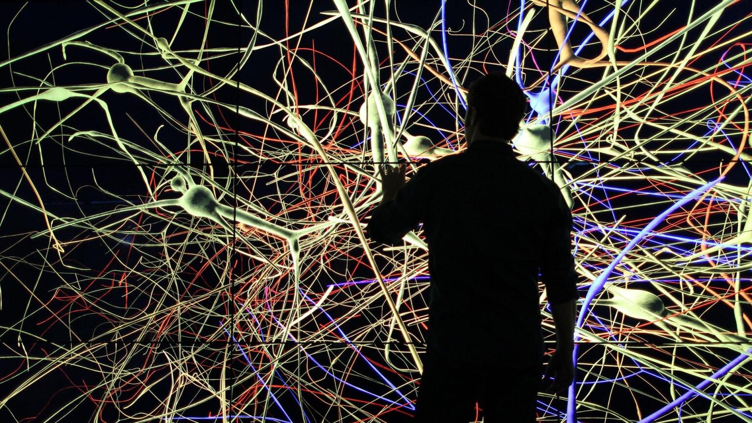 Stream The Brain with David Eagleman Seasons & Full Episodes | PBS SoCal