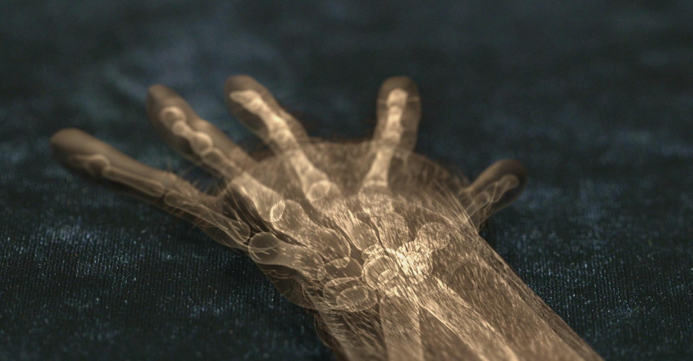 Stream Your Inner Fish Seasons & Full Episodes | PBS SoCal