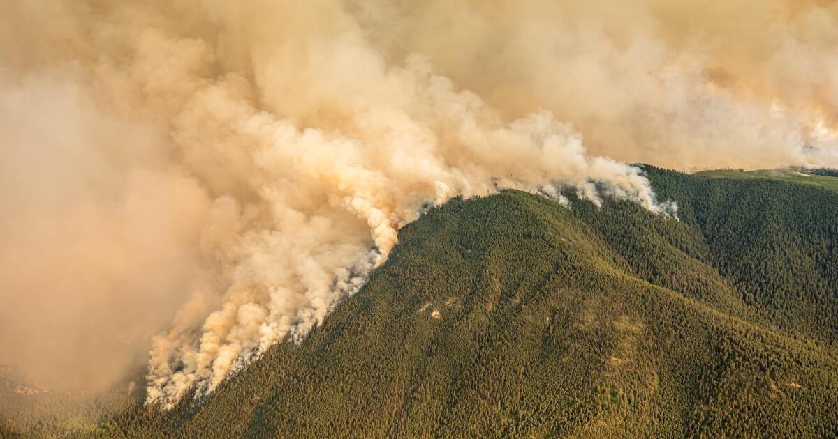 Watch How western wildfires spread harmful particles across U.S. | PBS ...