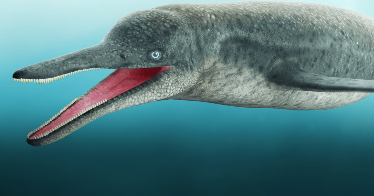 Watch The Sudden Rise of the First Colossal Animal | Eons Season 4 ...