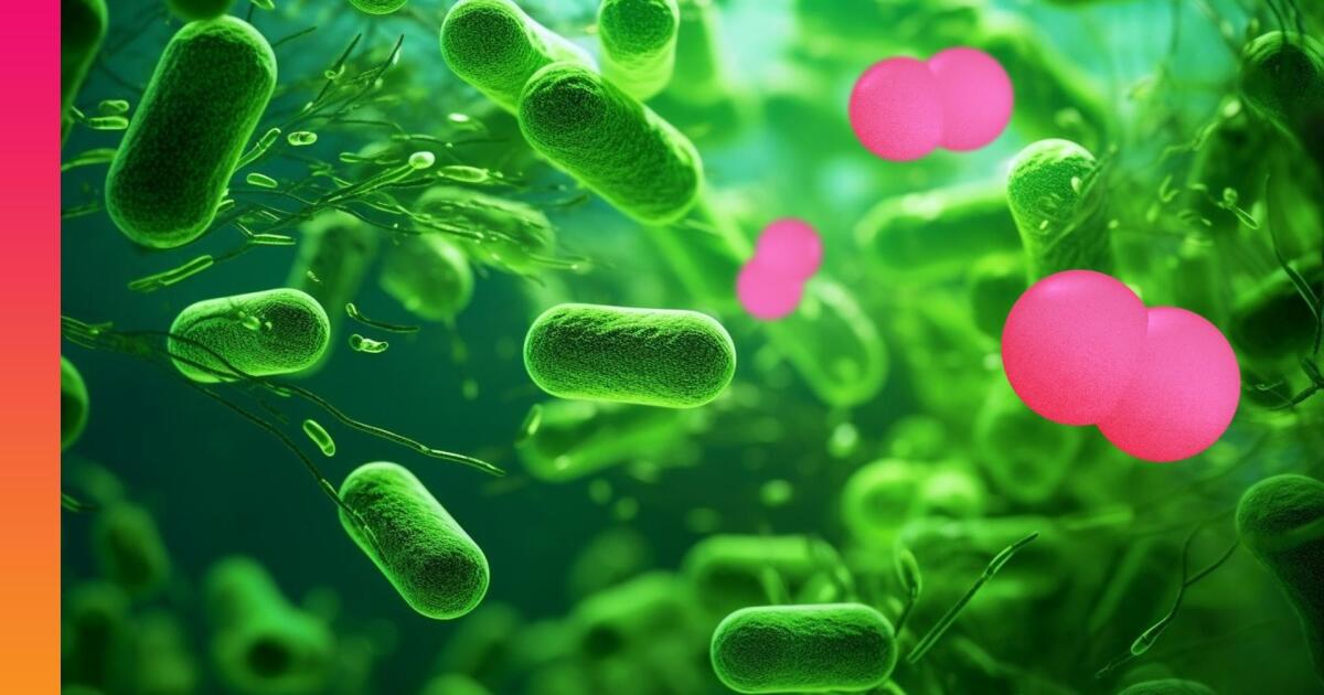 Watch The Deadly Chemistry That Made Life Interesting | It's Okay to Be ...