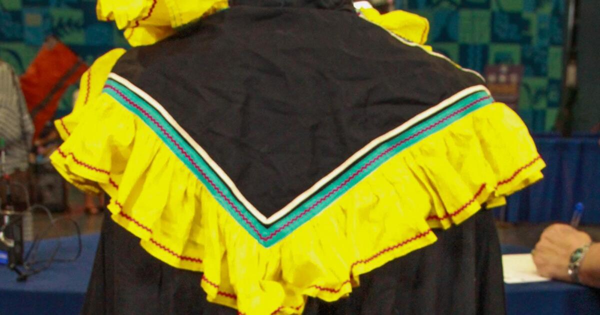 Watch Appraisal: Seminole Circuit Court Judge's Robe, ca. 1955 ...