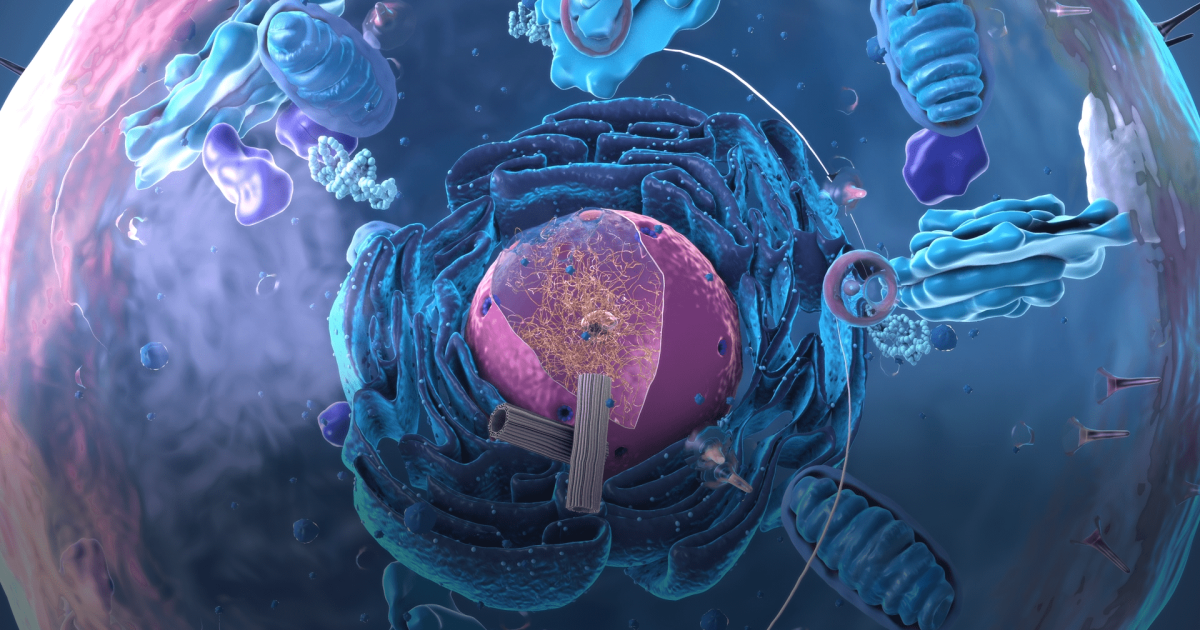 Watch Did An Ancient Pathogen Reshape Our Cells? | Eons Season 4 | PBS ...