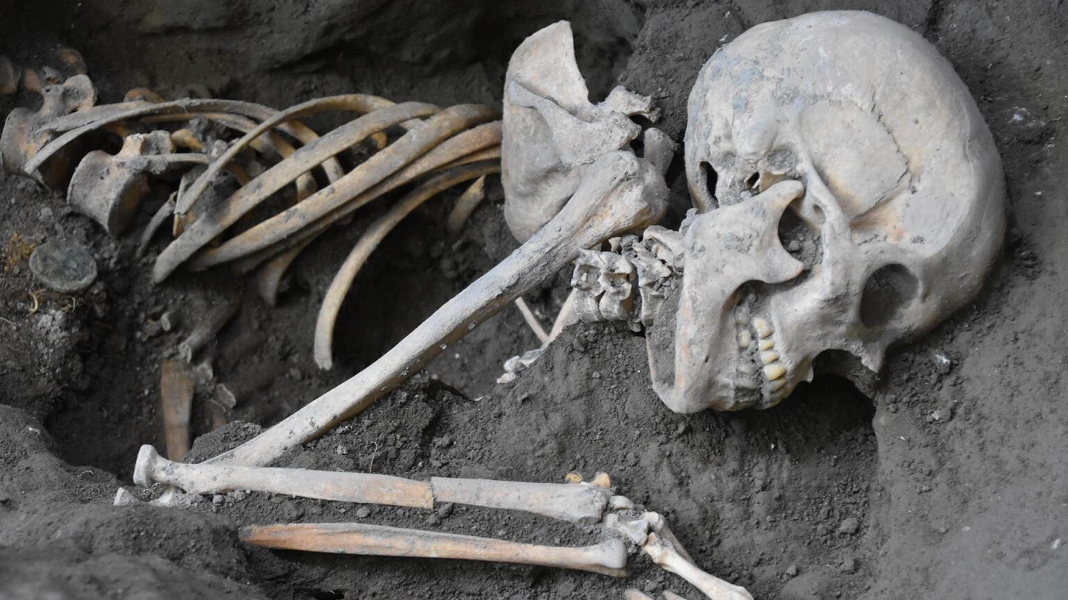 Stream Pompeii: The New Dig Seasons & Full Episodes | PBS SoCal