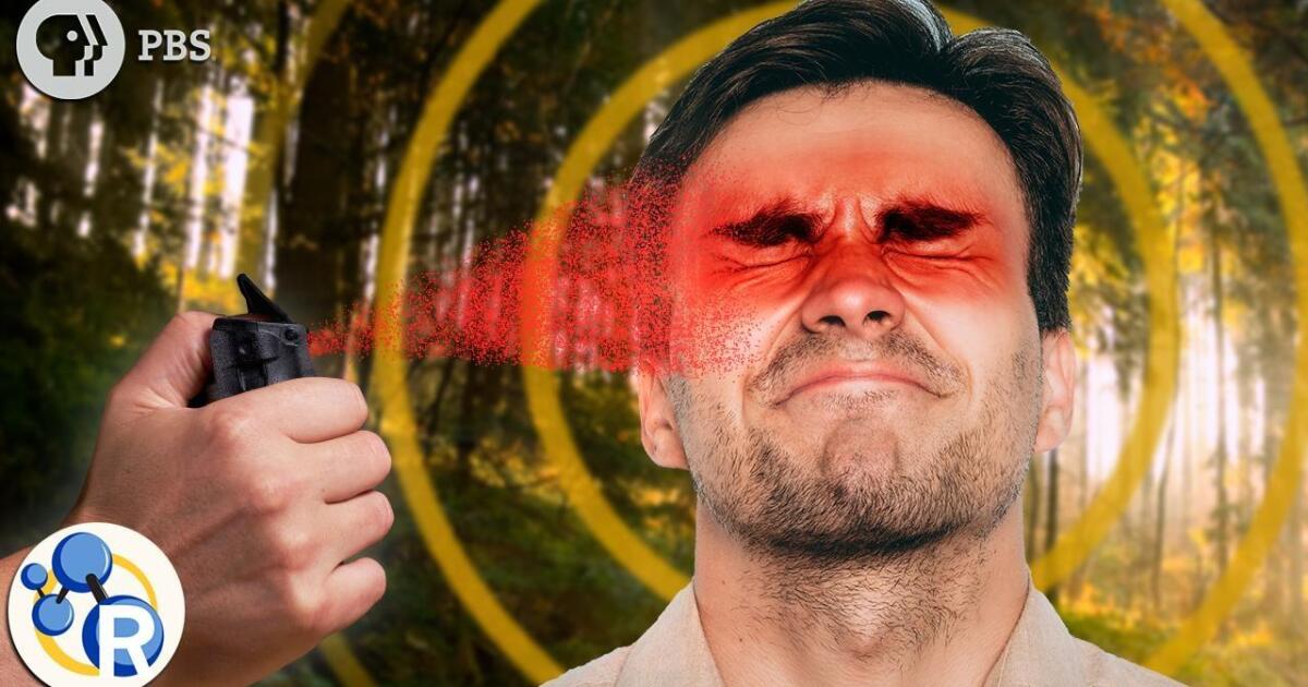 Watch How Does Pepper Spray Work? | Reactions Season 5 | PBS SoCal