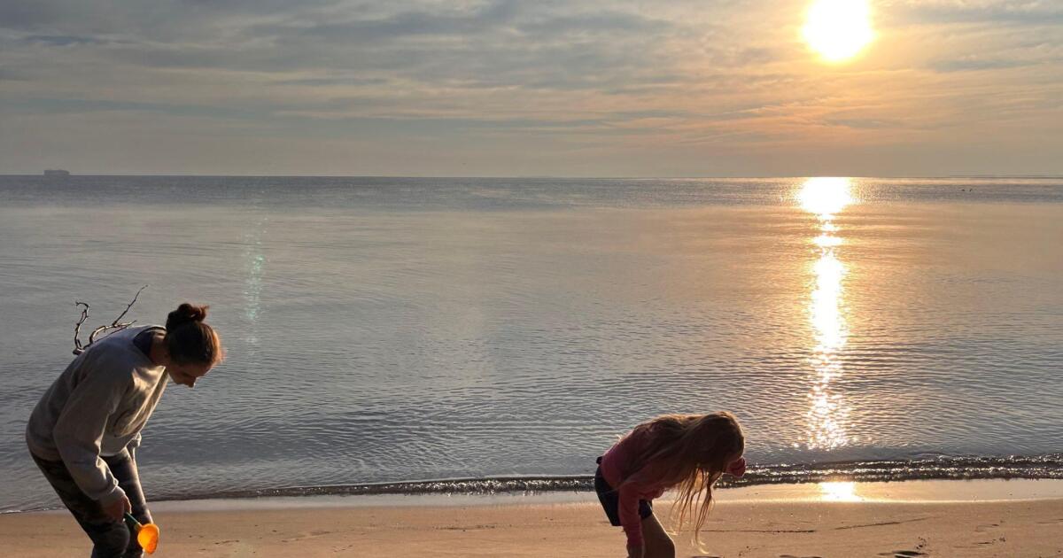 Watch Fossil hunts yield giant shark tooth and dinosaur footprint | PBS ...