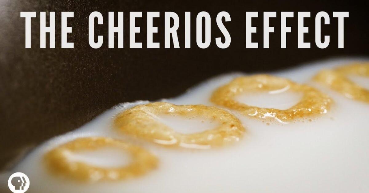 Watch The Cheerios Effect | It's Okay to Be Smart Season 5 | PBS SoCal