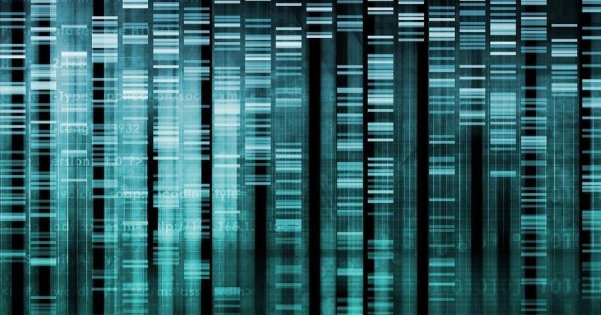 Watch Preview: Cracking Your Genetic Code Preview | NOVA Season | PBS SoCal