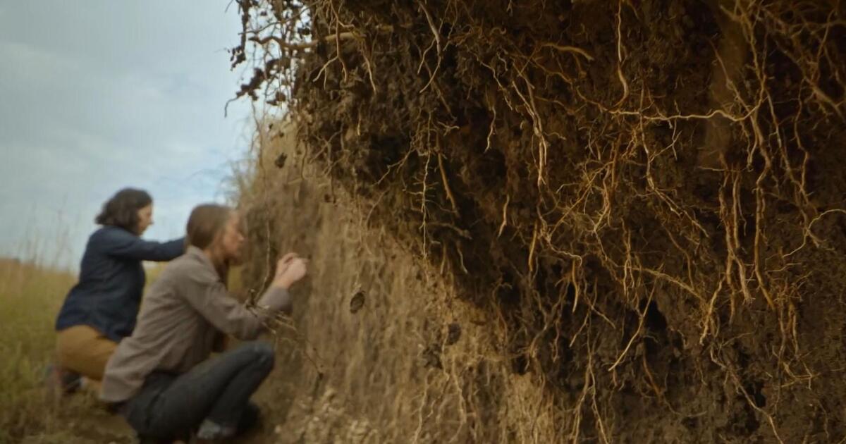 Watch Scientists Look to Soil for Answers on Climate Change | Evolution ...