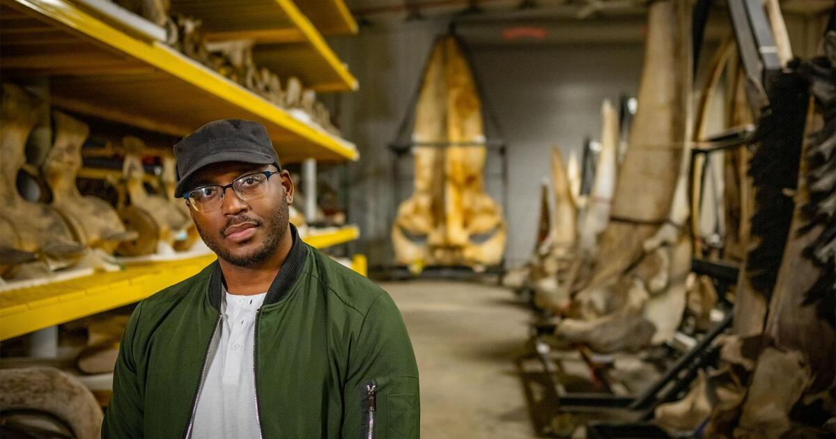 Watch Top Predator | Human Footprint Season 1 | PBS SoCal