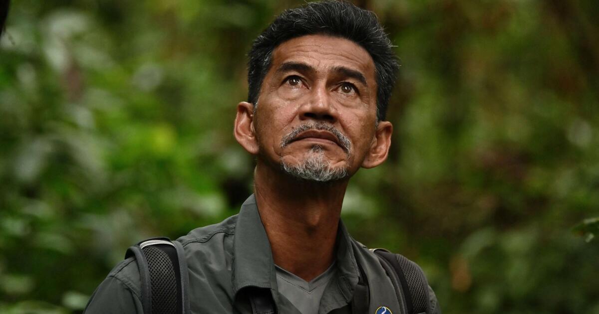 Watch Protect and Restore Nature | The Earthshot Prize | PBS SoCal