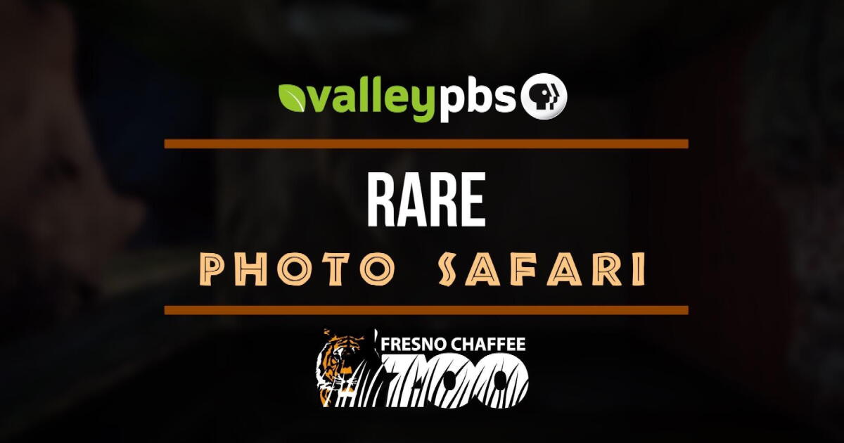 Watch Rare Photo Safari | ValleyPBS Specials | PBS SoCal