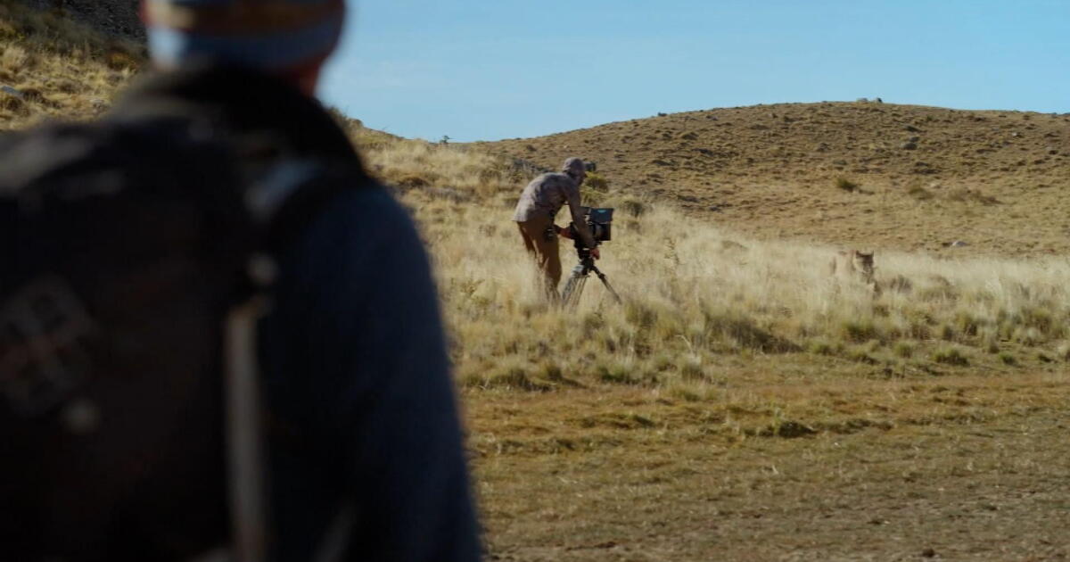 Watch A Year in the Wild | Patagonia: Life On The Edge of The World ...