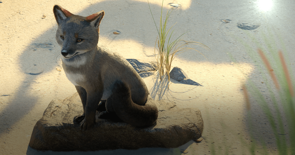 Watch Darwin Missed An Example of Evolution Right Under His Nose | Eons ...