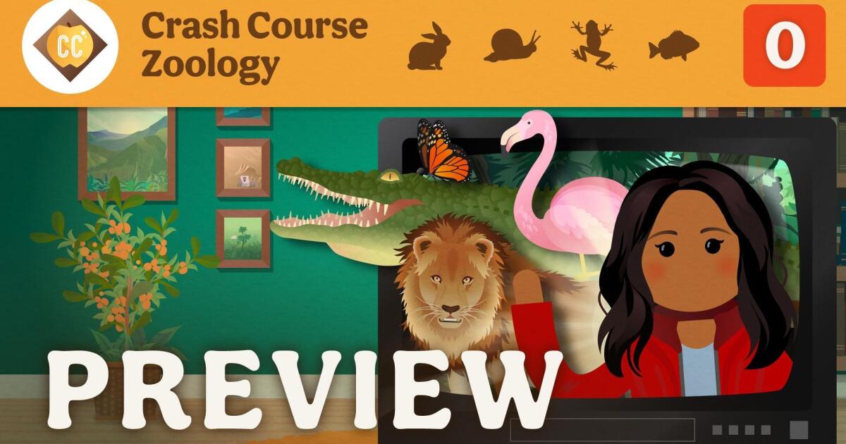 Watch Preview: Crash Course Zoology Preview | Crash Course Zoology ...