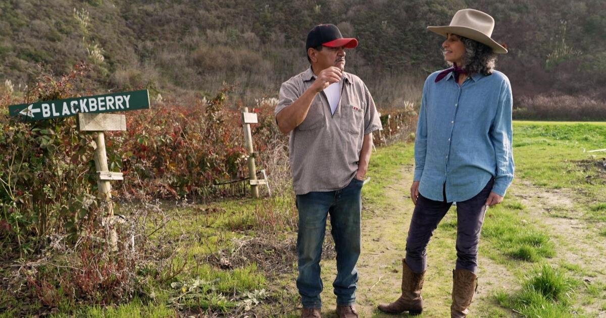 Watch Growing Perennials – Harvesting Health | America's Heartland ...