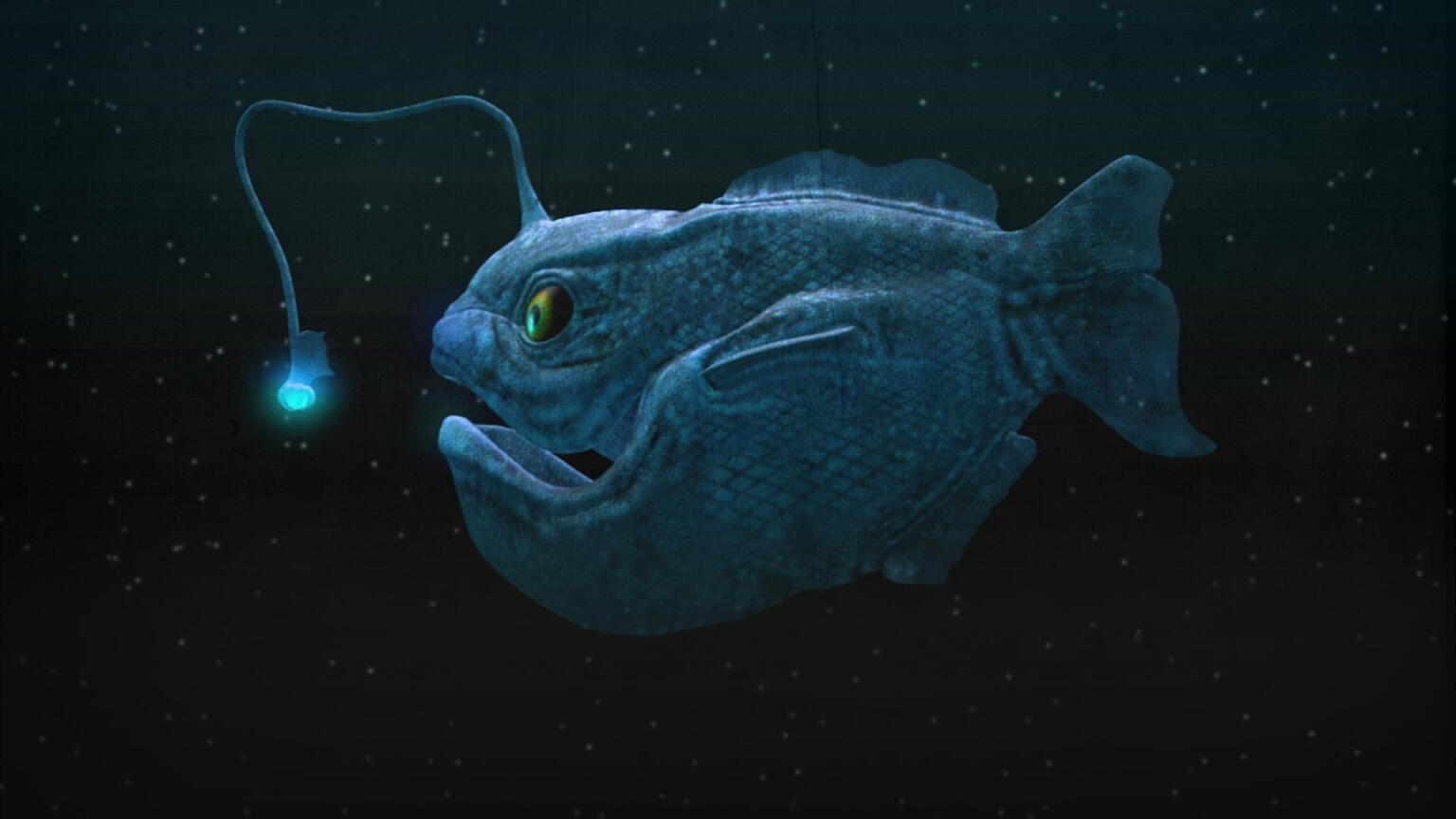 Stream Eons Seasons & Full Episodes | PBS SoCal