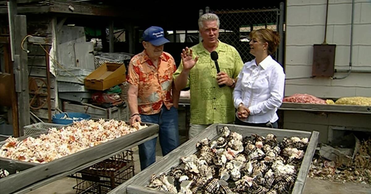 Watch Ferguson's Shells | Visiting with Huell Howser Season 12 | PBS SoCal
