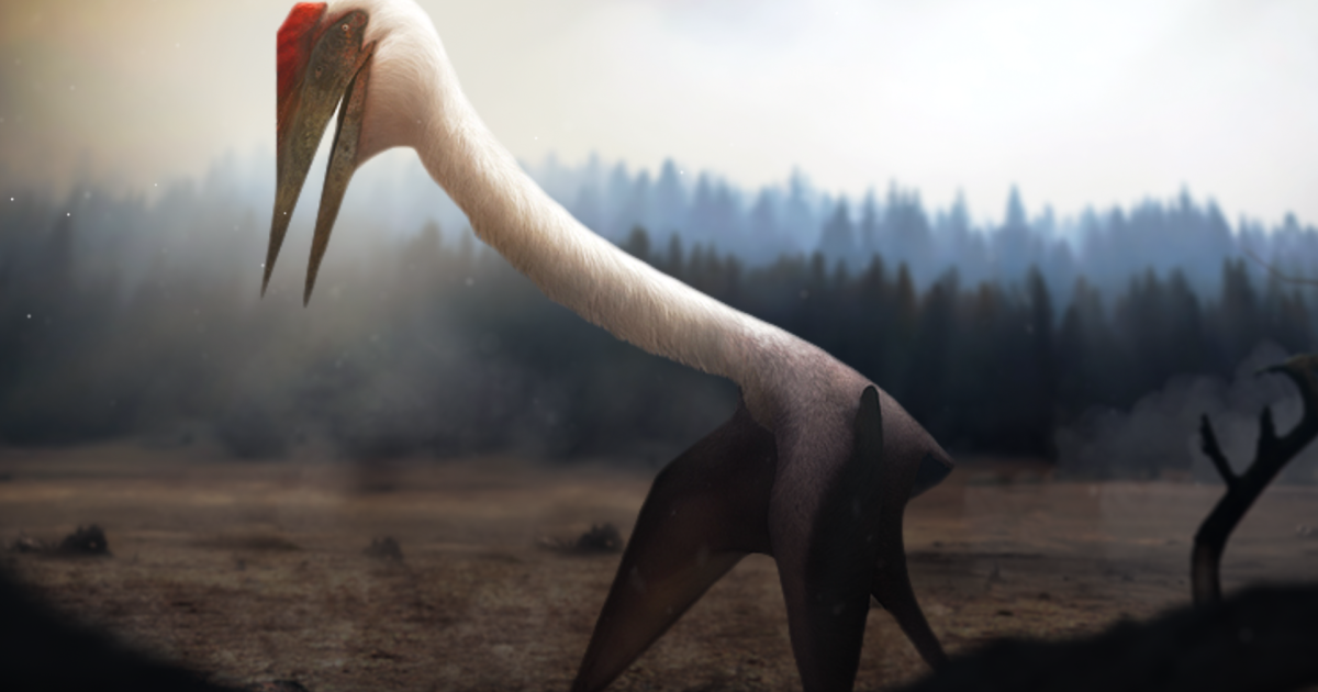 Watch When Pterosaurs Walked | Eons Season 4 | PBS SoCal