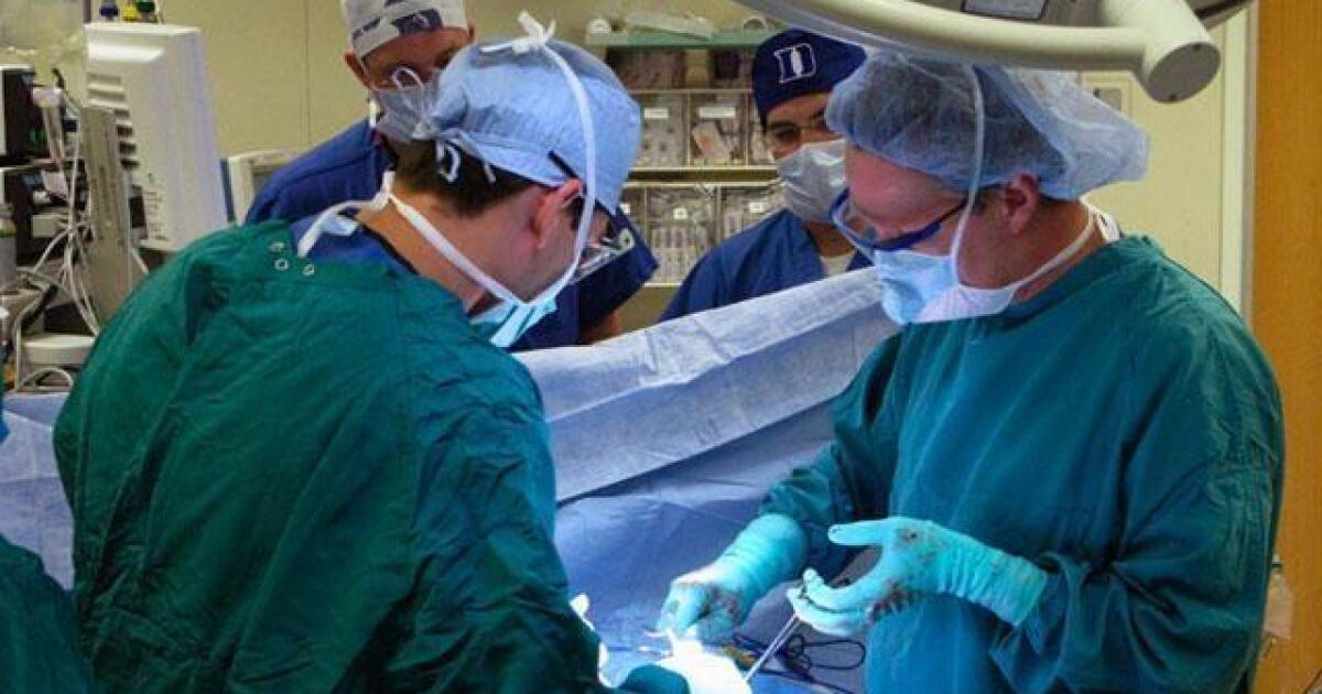 Watch Preview: Doctors' Diaries - Preview | NOVA Season | PBS SoCal