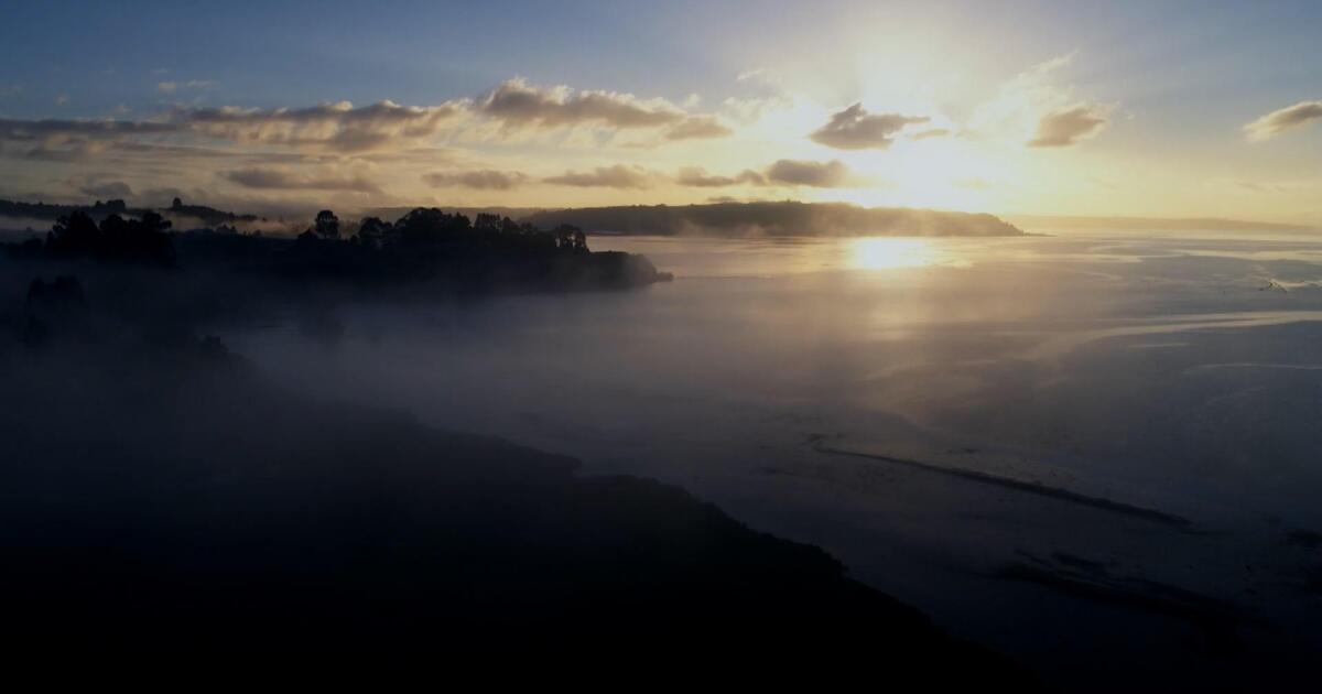 Watch Fjordlands | Patagonia: Life On The Edge of The World Season 1 ...