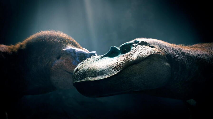 Watch Greatest Standoff: T. Rex vs Triceratops | Walking with Dinosaurs ...