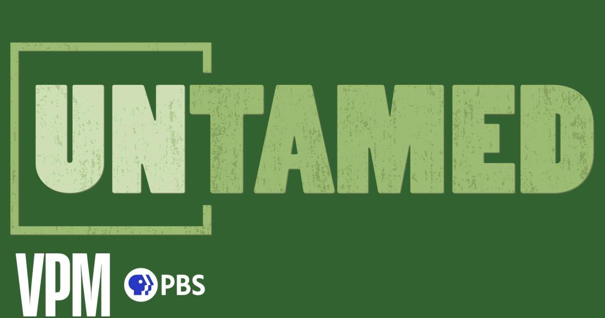 Stream Untamed Seasons & Full Episodes | PBS SoCal