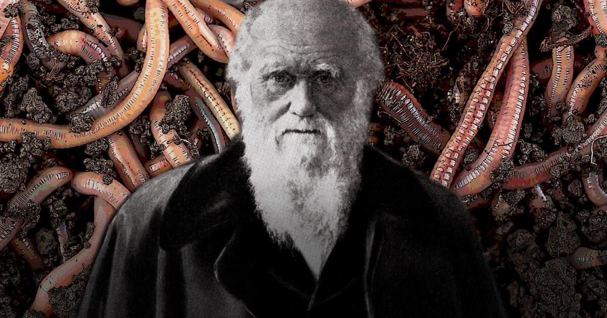 Watch Darwin's Unexpected Final Obsession | Eons Season 7 | PBS SoCal