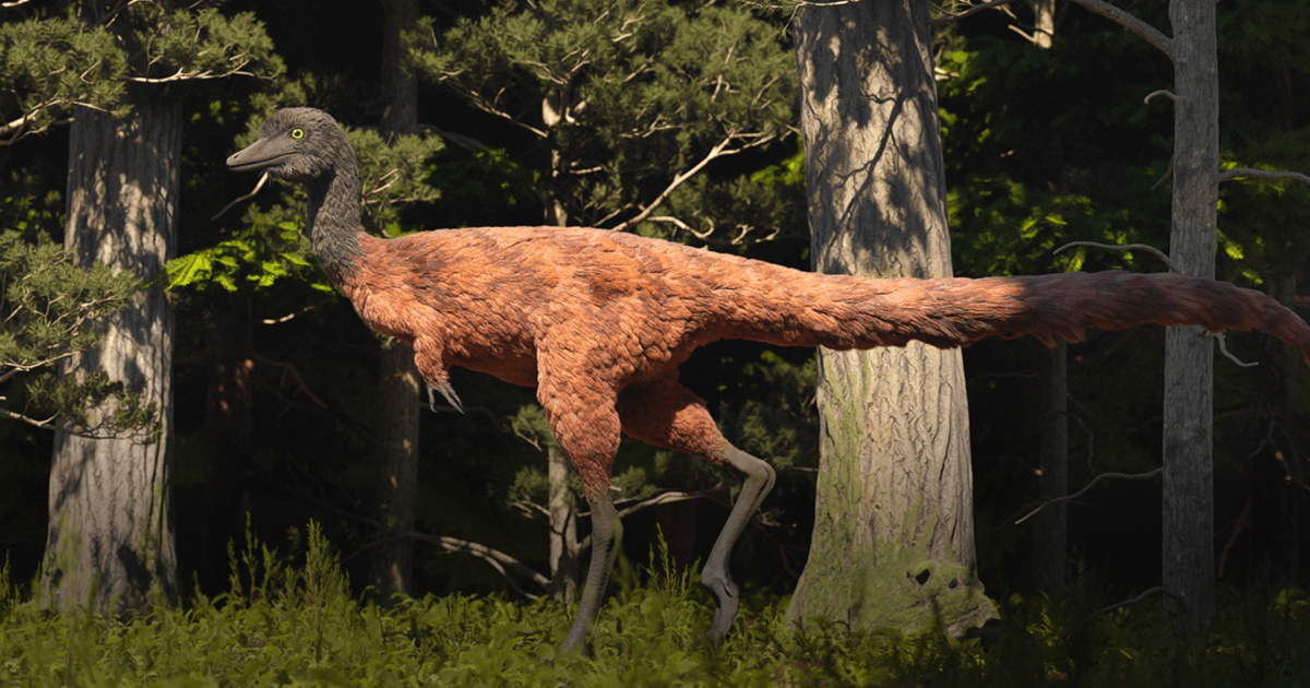 Watch Did Eating Insects Shrink These Dinos? | Eons Season 4 | PBS SoCal