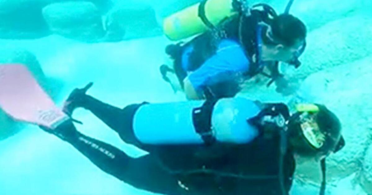 Watch Exuma Cays 1 | NOVA | PBS SoCal