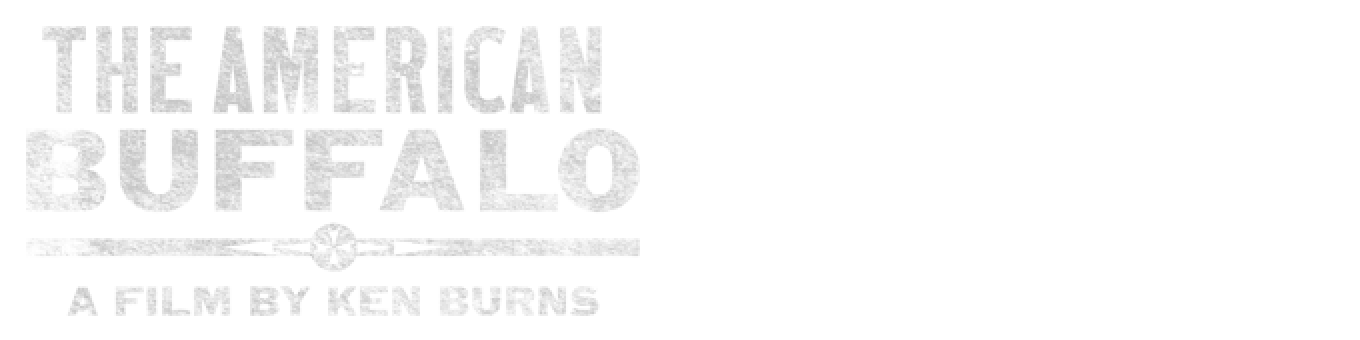 Stream The American Buffalo Seasons & Full Episodes | PBS SoCal