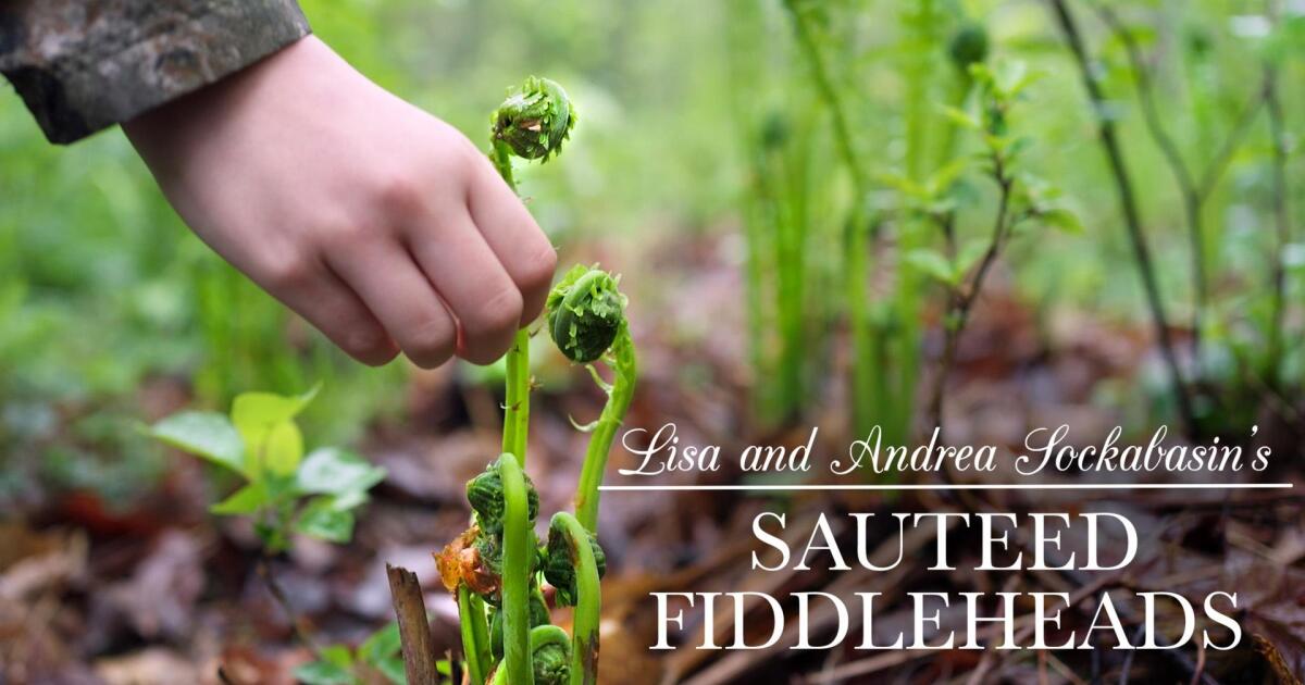 Watch Fiddleheads | Kitchen Vignettes Season 7 | PBS SoCal