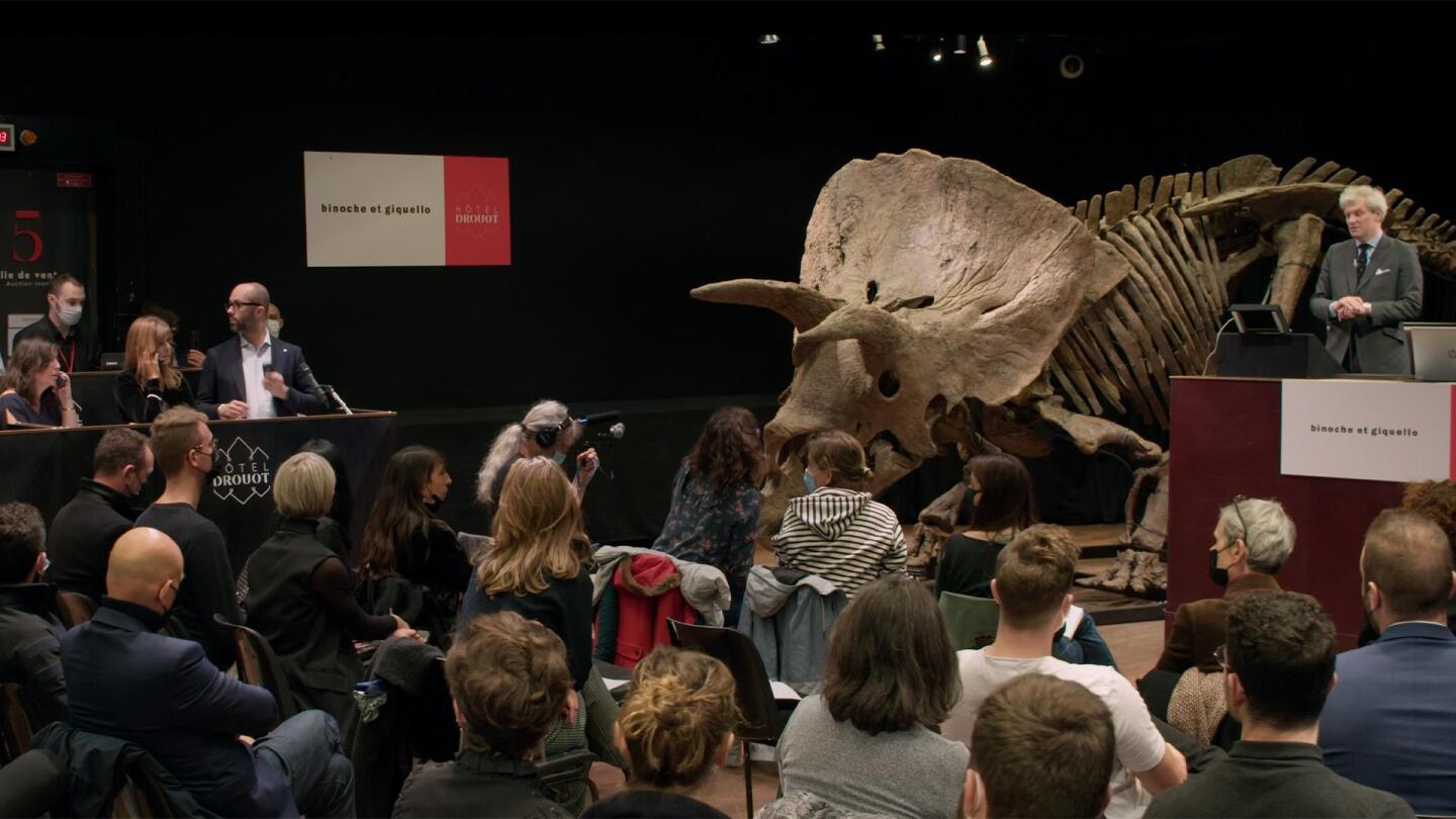 Stream Secrets of the Dead Seasons & Full Episodes | PBS SoCal