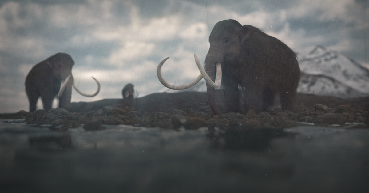 Watch The Island of the Last Surviving Mammoths | Eons Season 4 | PBS SoCal