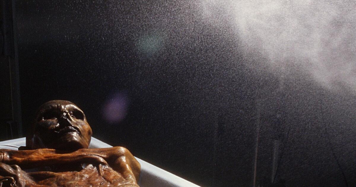 Watch Preview: Iceman Reborn Preview | NOVA Season | PBS SoCal