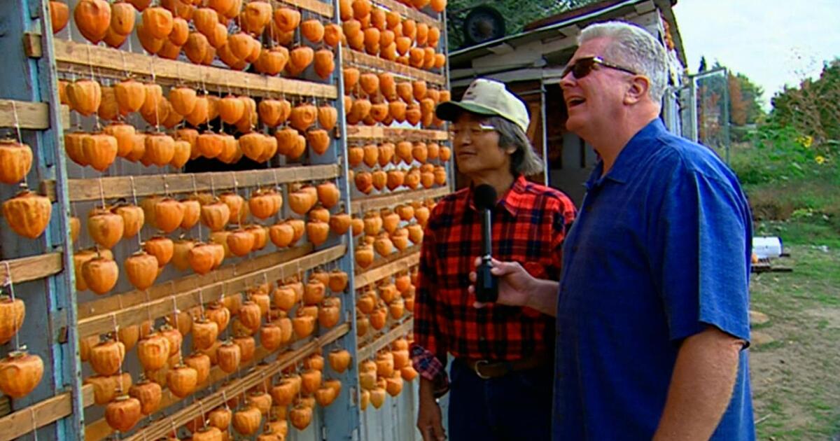 Watch Persimmons | California's Gold with Huell Howser Season 10 | PBS ...