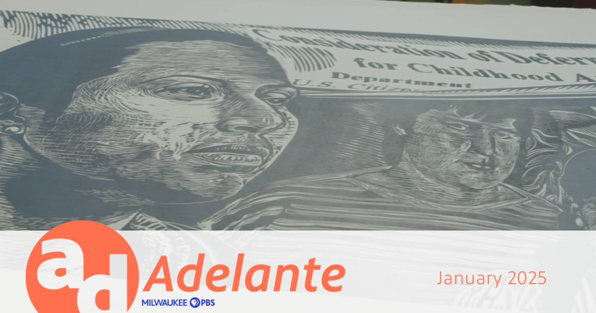 Watch Artists Carmen de la Paz and Raoul Deal, and Immigrant Defenders ...
